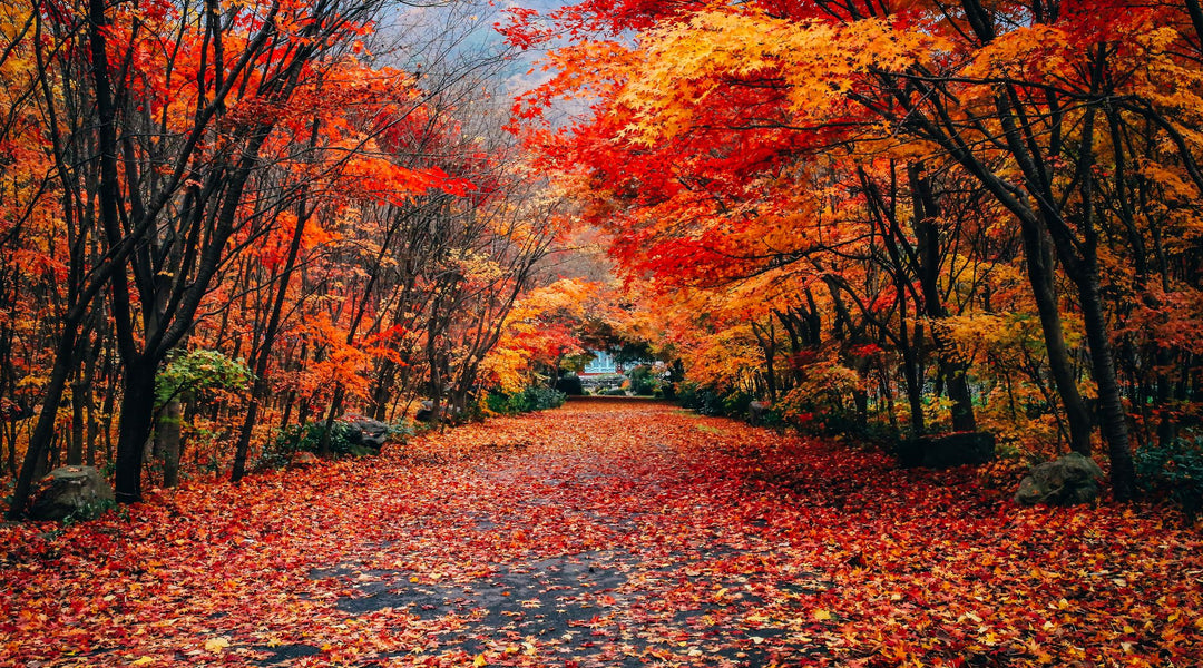 Duncan & Stone Paper Co. Blog